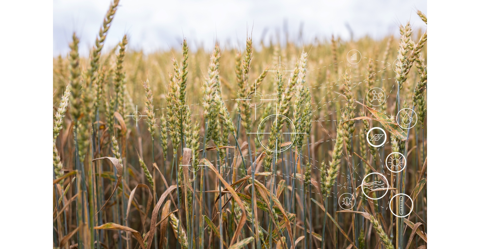 SafeGrain Partners with iGrain as North American Distributor