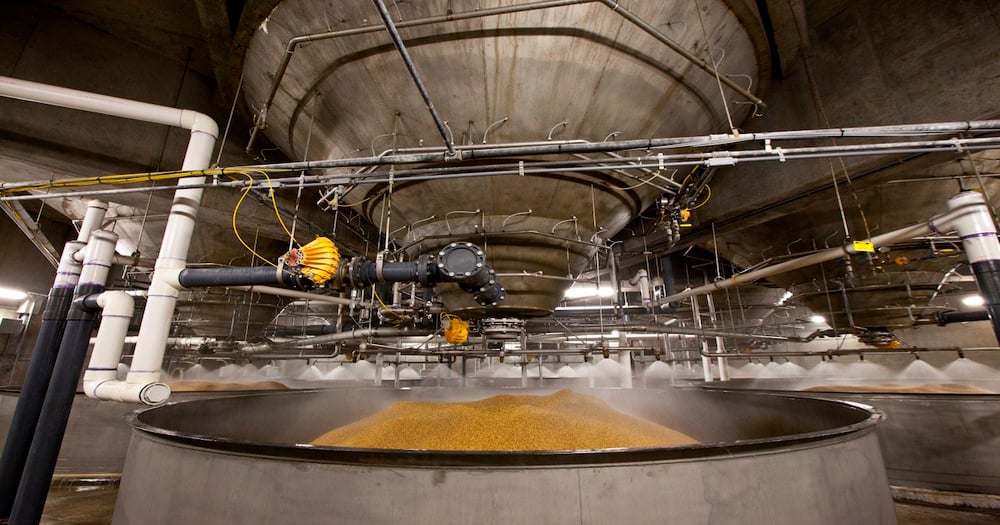 Grain Bin Fall Claims Life at World’s Biggest Malt Plant