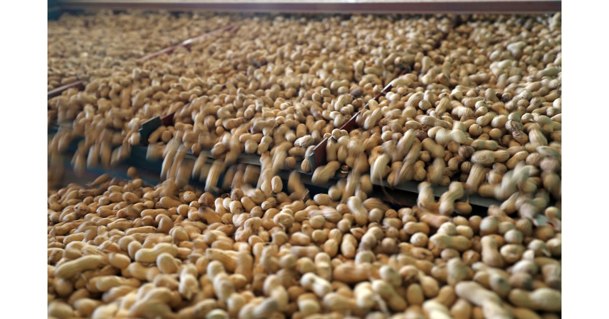 WECO Moisture Monitoring System Helps Optimize Peanut Drying