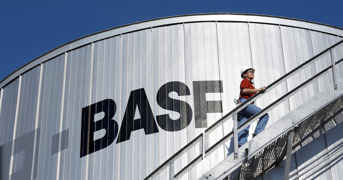 BASF Wraps Up Feed Enzymes Plant Expansion