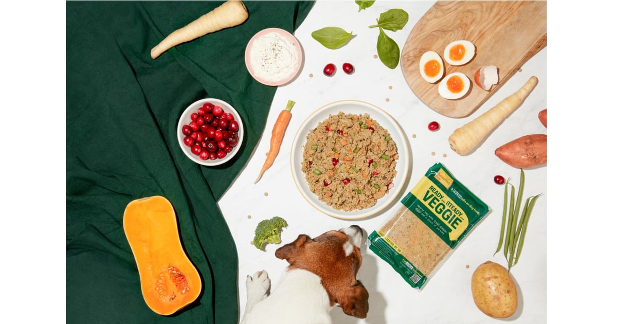 Butternut Box & MiAlgae Revolutionize Pet Food With Microalgae