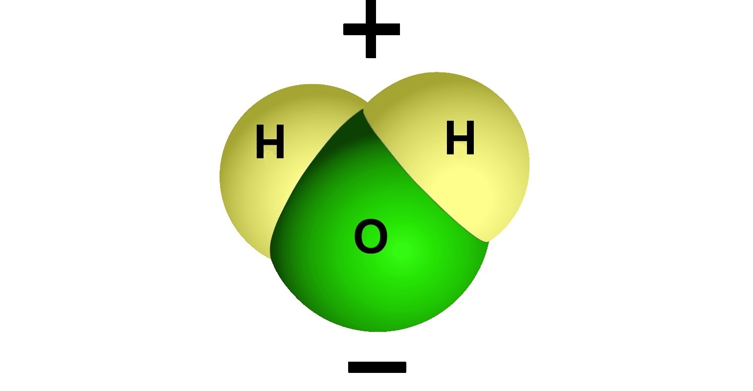 Radio Frequency Heating and Drying: The Wave of the Future