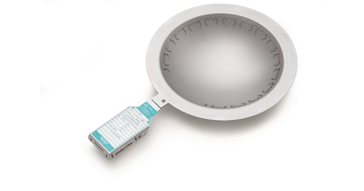 Rupture Discs: The Most Important Safety Devices