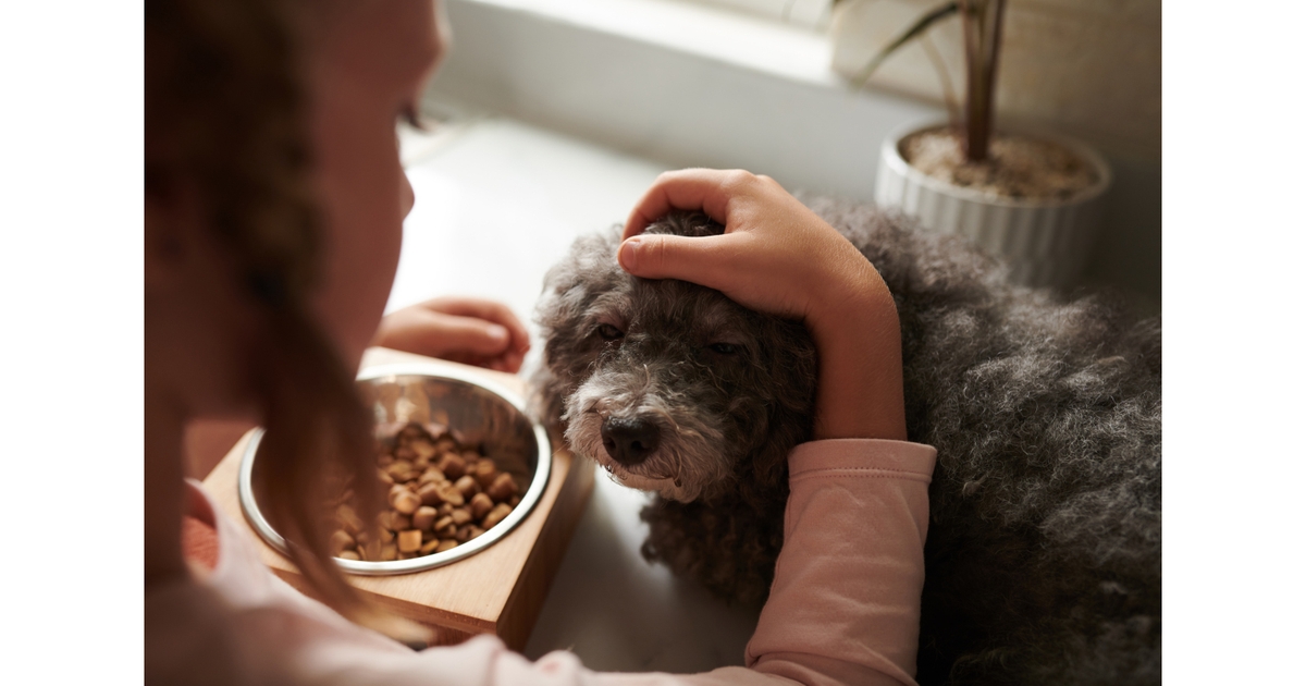 Cult Food Science including cell-based collagen in its pet food