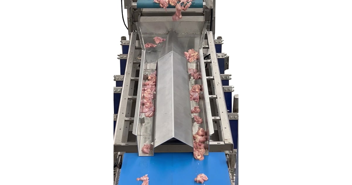 New Conveyor Systems Process and Package Poultry