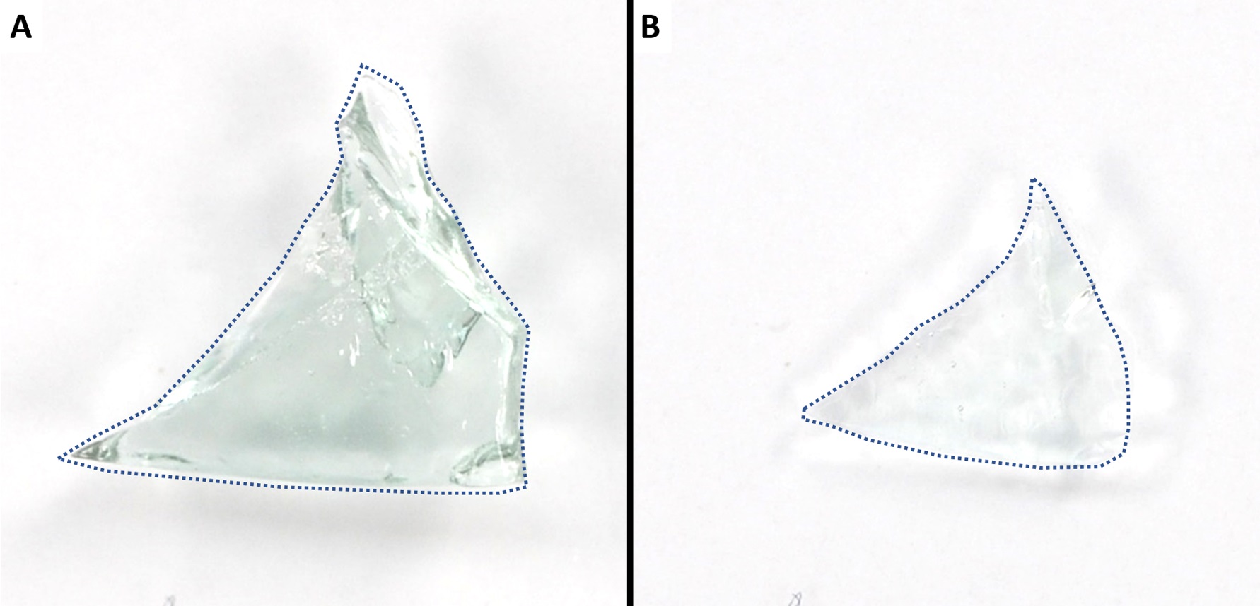 Resolving the Source of Foreign Matter in Formulations