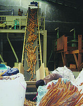 Start-Up of Cinnamon Plant Employs Screen Classifying Cutter, Rotary M