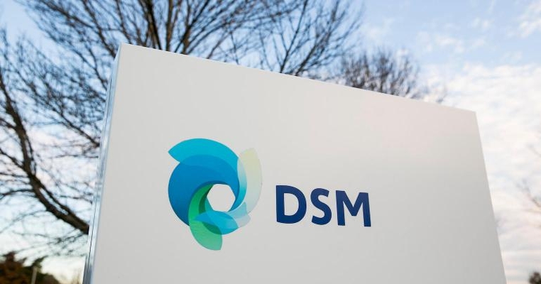DSM Engineering Materials Upgrades Midwest Polymers Plant