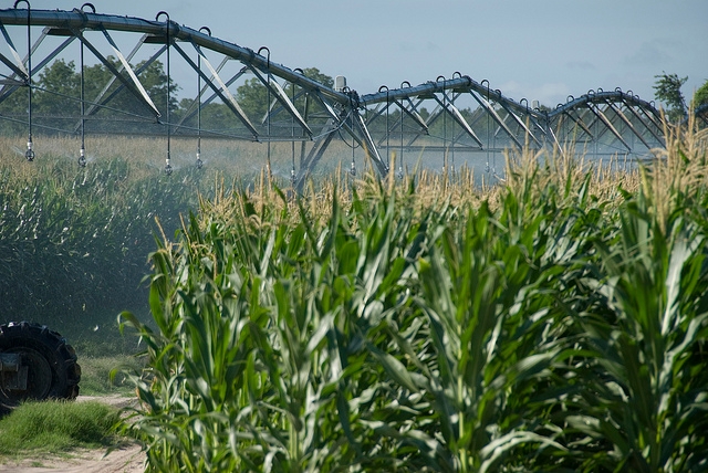 Origin Agritech Gains Access to DuPont Non-GMO Corn Seed