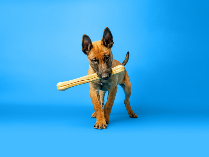 Puppywinkel | bol.com